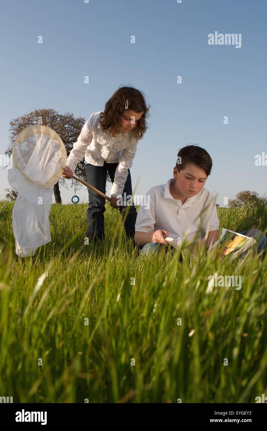 Brother and sister catching butterflies. Learning about Stock Photo - Alamy