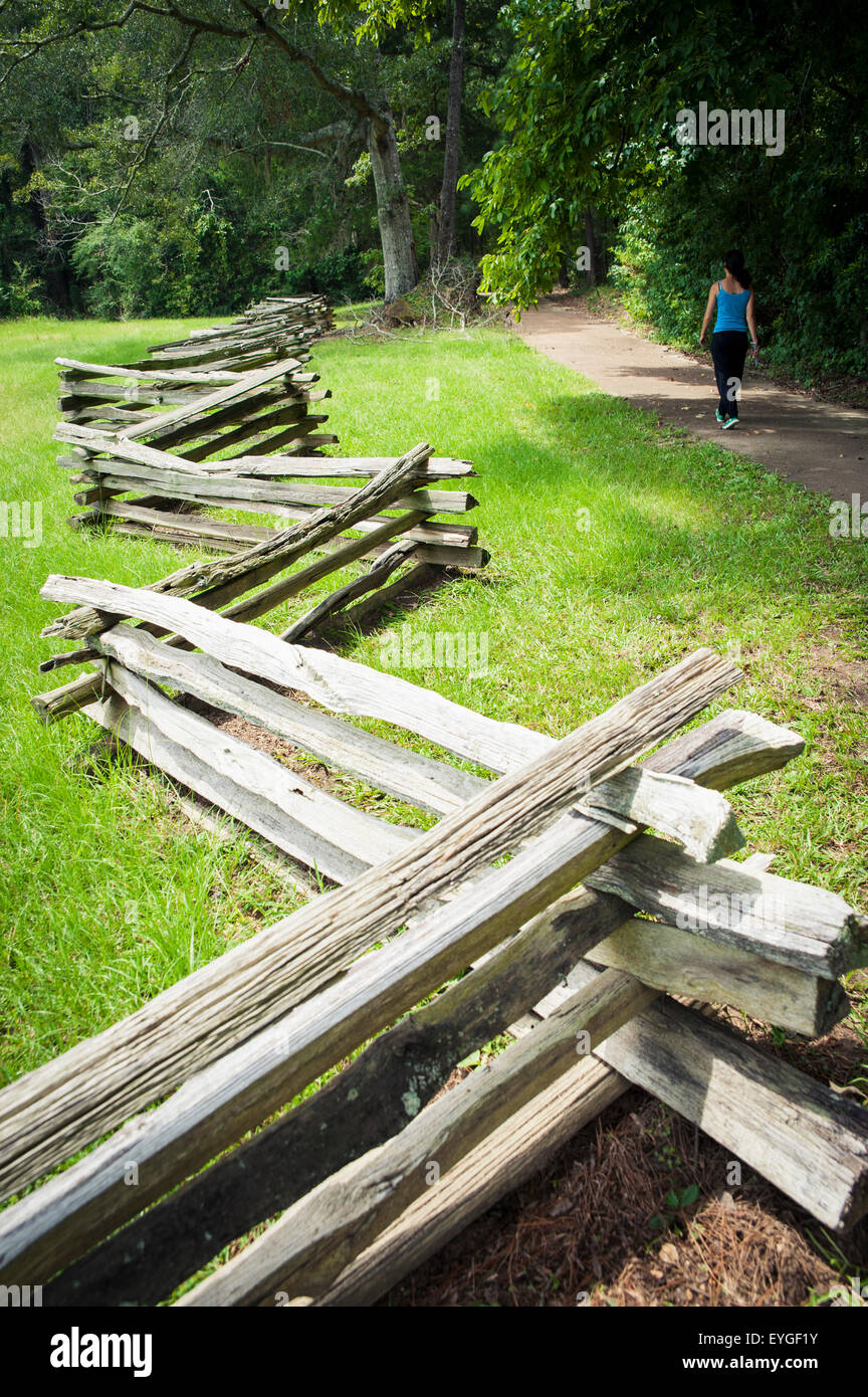 USA, Mississippi, Natchez Trace Parkway; Natchez, Wooden fence in Mount ...
