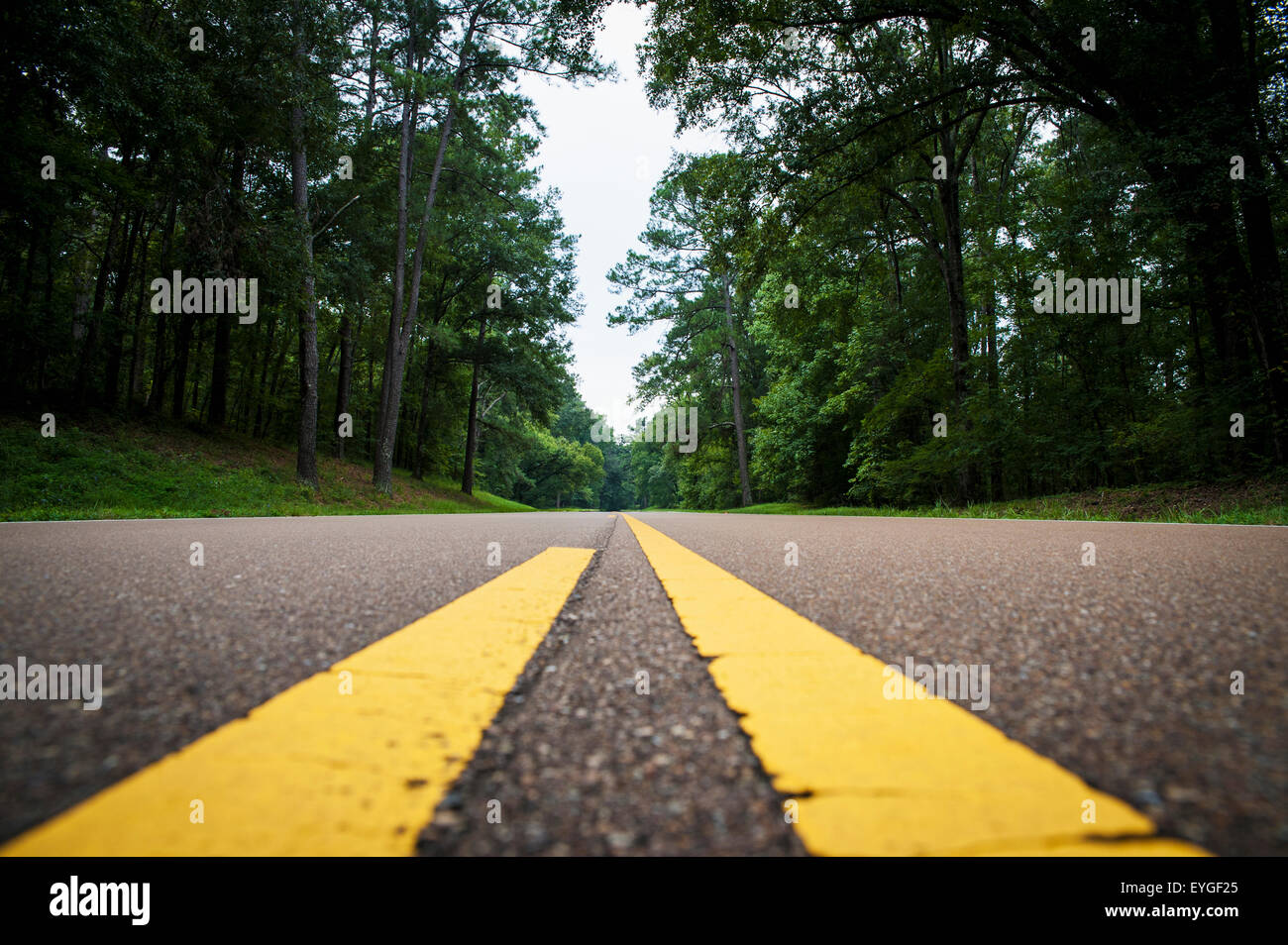 USA, Mississippi, Close-up of road in Natchez Trace Parkway; Natchez ...