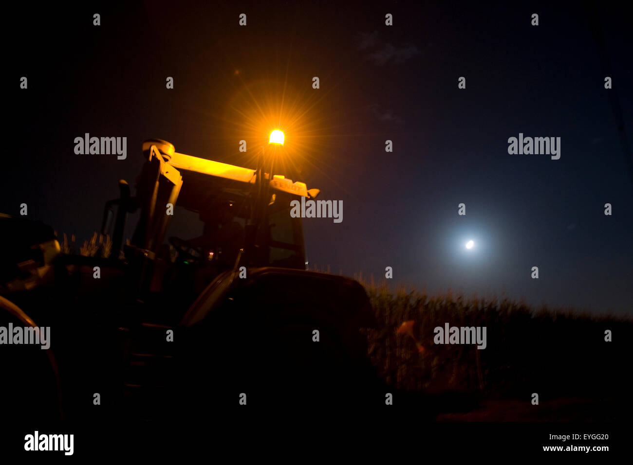 Italy, Cuggiono, Andrea Tenconi farmer Stock Photo - Alamy
