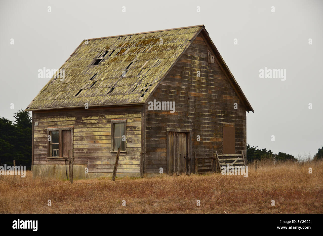 An ancient barn along the Mendocino Coast Stock Photo - Alamy