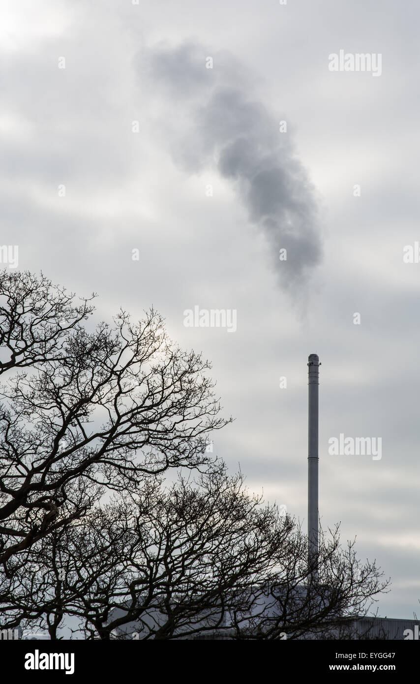 waste incinerator chimney Stock Photo - Alamy