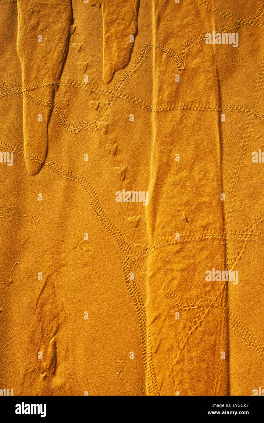 Niger, Sahara Desert; Northern Niger, Patterns and animal tracks on ...