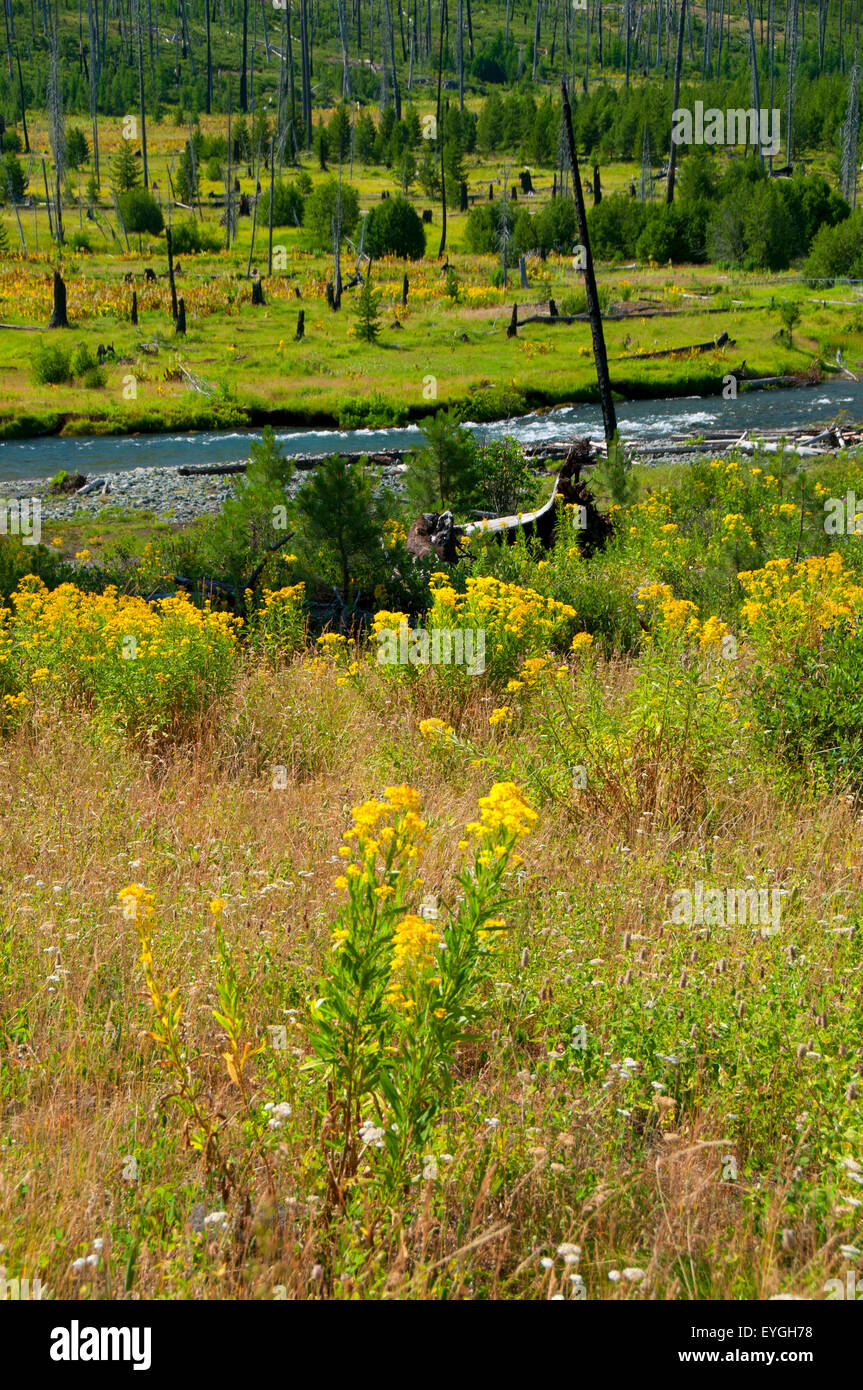 Imnaha River through Twin Lakes Burn along Imnaha River Trail, Hells ...