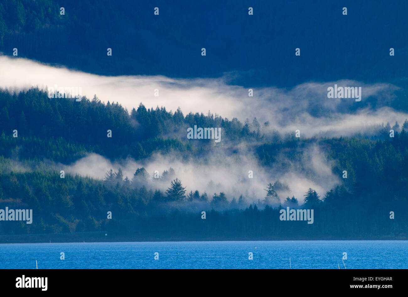 Tillamook Bay to forest with fog, Bayocean Peninsula, Oregon Stock ...
