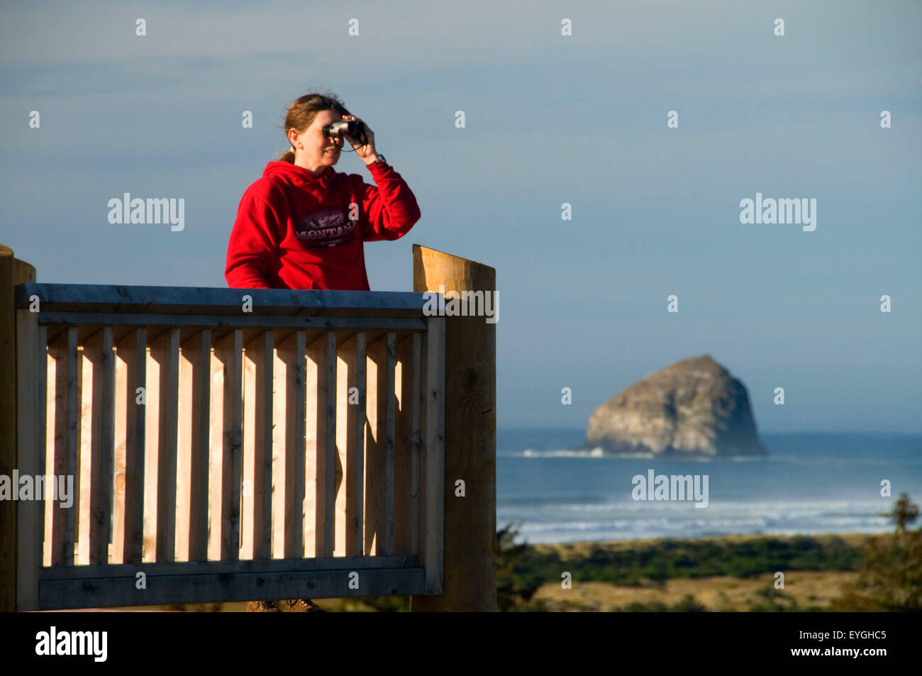 Birdwatcher binoculars on observation deck hi-res stock photography and ...