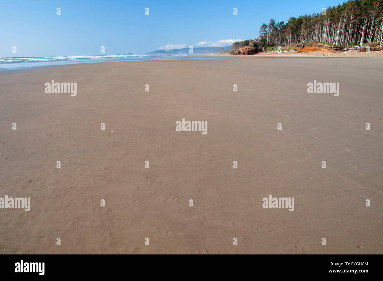 Open beach, Cape Lookout State Park, Oregon Stock Photo - Alamy