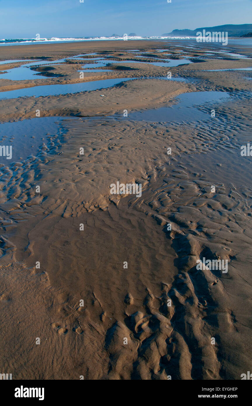 Netarts Spit beach, Cape Lookout State Park, Oregon Stock Photo - Alamy