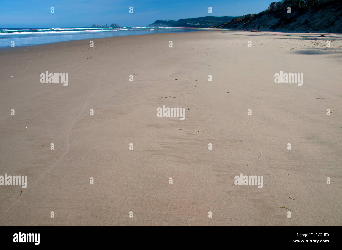 Netarts Spit beach, Cape Lookout State Park, Oregon Stock Photo - Alamy