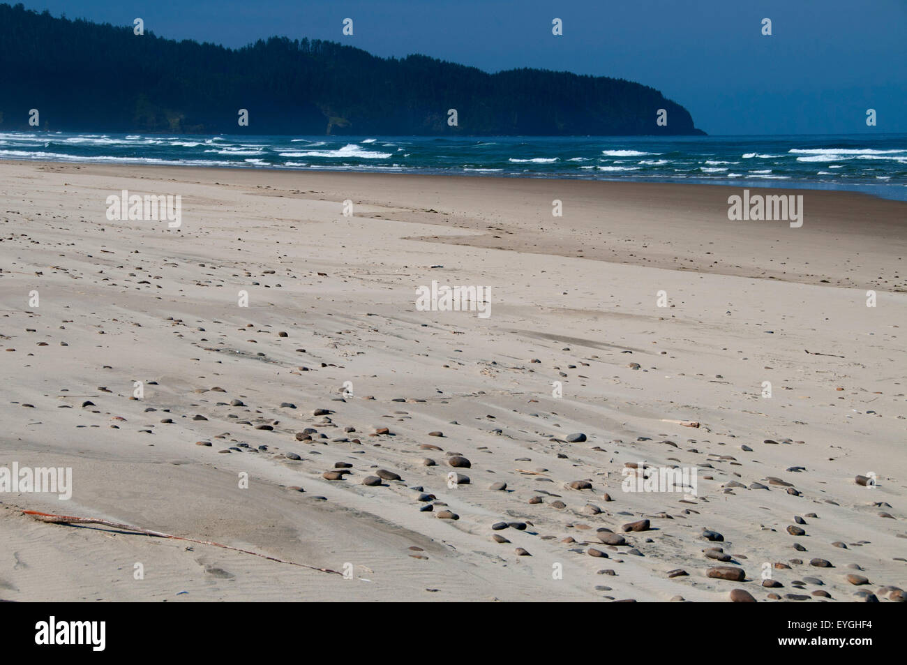 Netarts Spit beach, Cape Lookout State Park, Oregon Stock Photo - Alamy