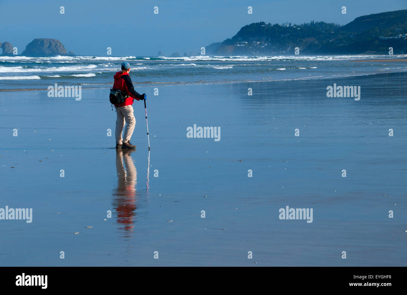 Netarts Spit beach, Cape Lookout State Park, Oregon Stock Photo - Alamy