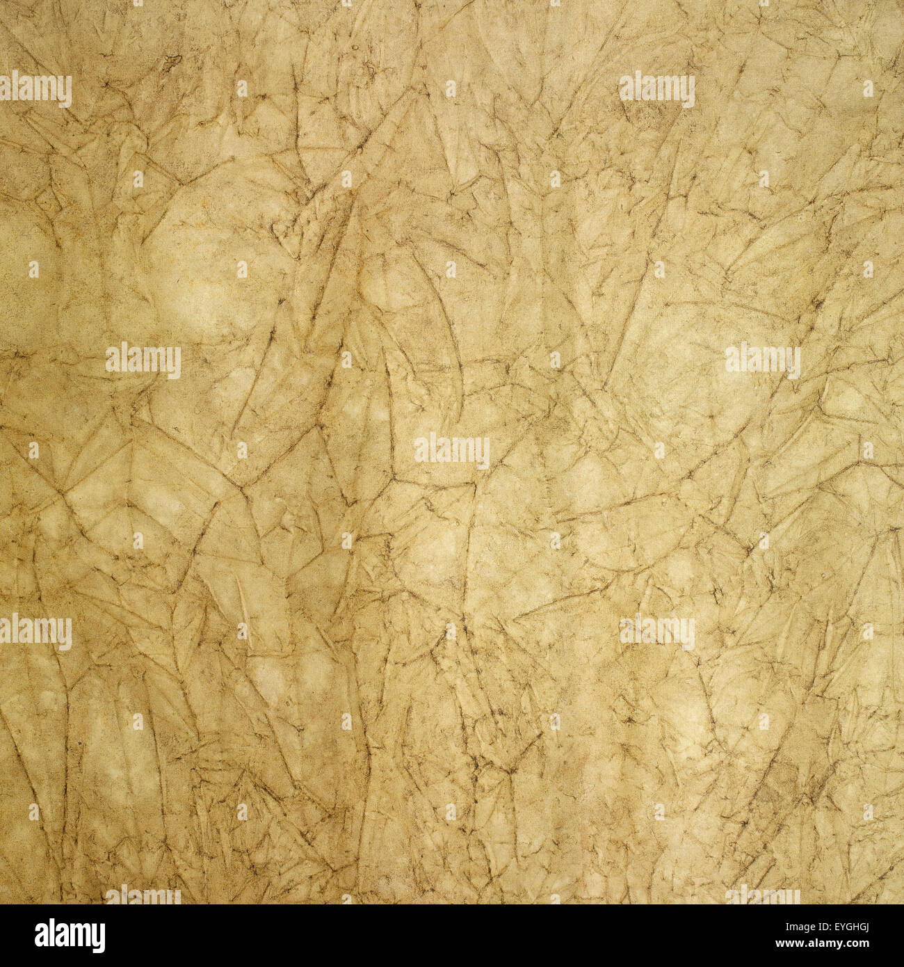 Surface pattern and color hi-res stock photography and images - Alamy
