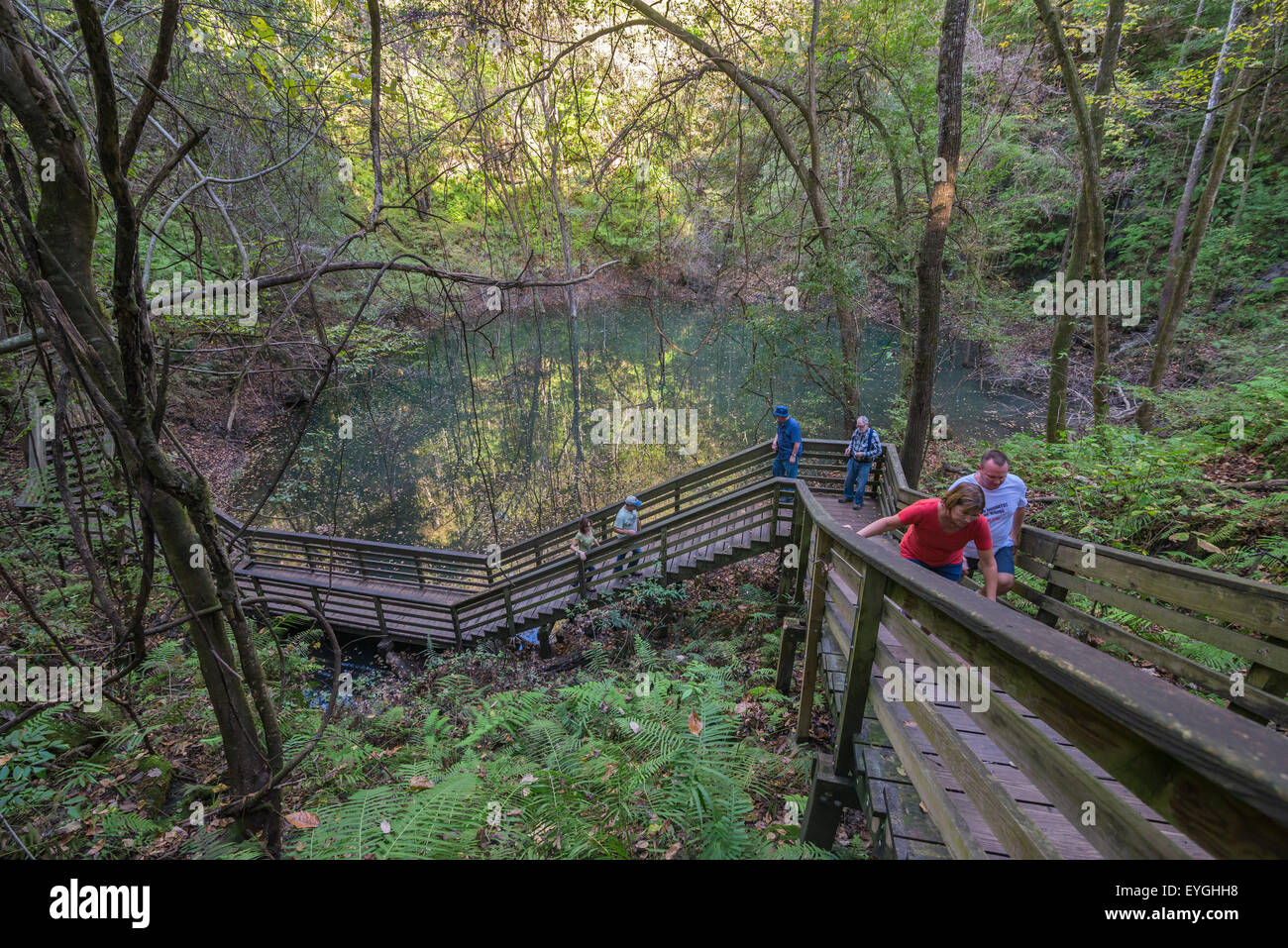 Devil's sinkhole florida hi-res stock photography and images - Alamy