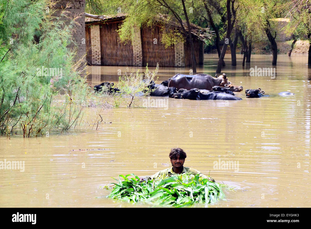 Indus river flood hi-res stock photography and images - Alamy