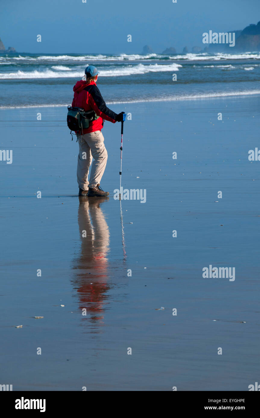 Netarts Spit beach, Cape Lookout State Park, Oregon Stock Photo - Alamy