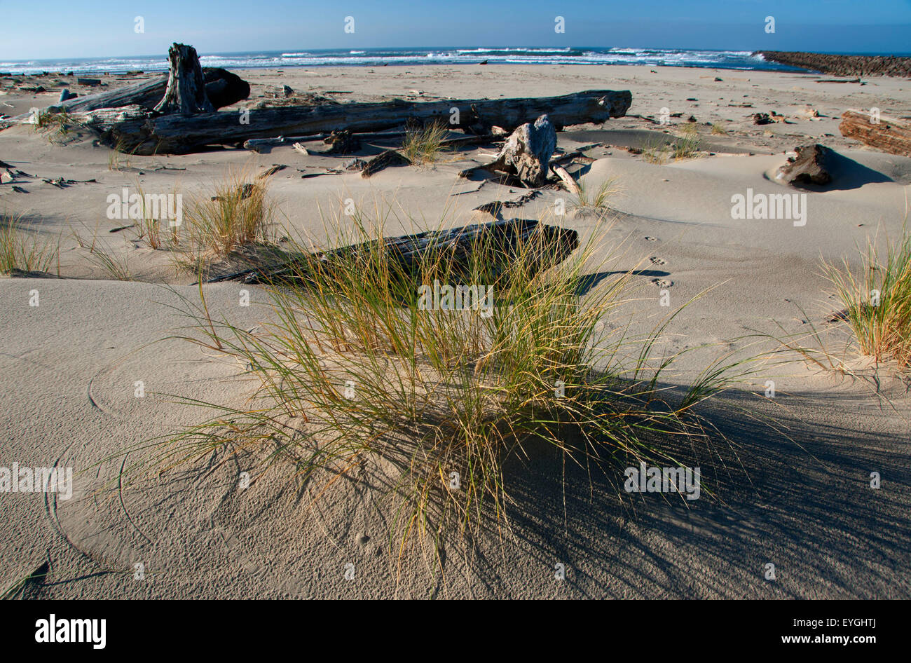 Bayocean hi-res stock photography and images - Alamy