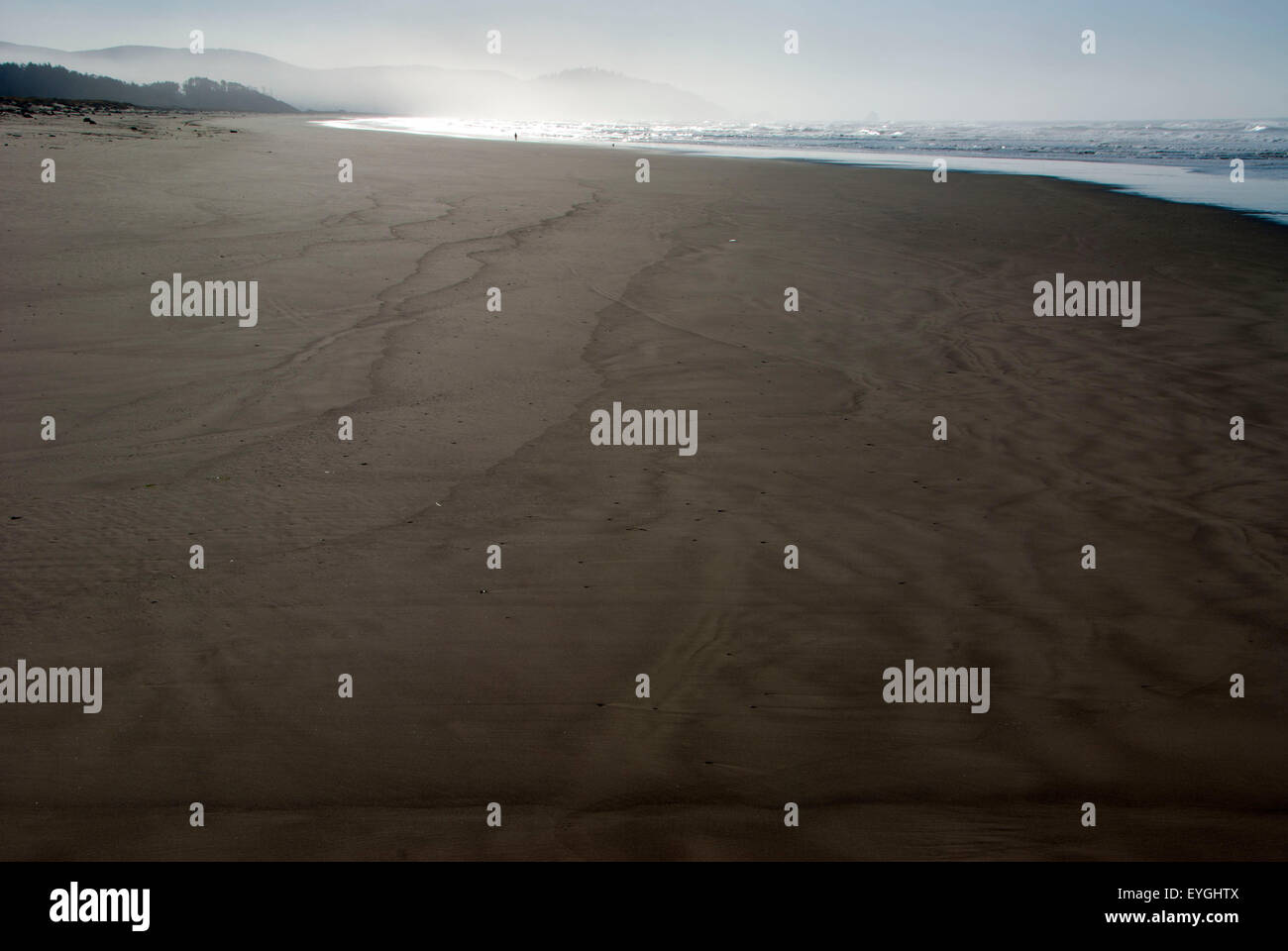 Bayocean Peninsula beach, Bayocean Peninsula, Oregon Stock Photo - Alamy