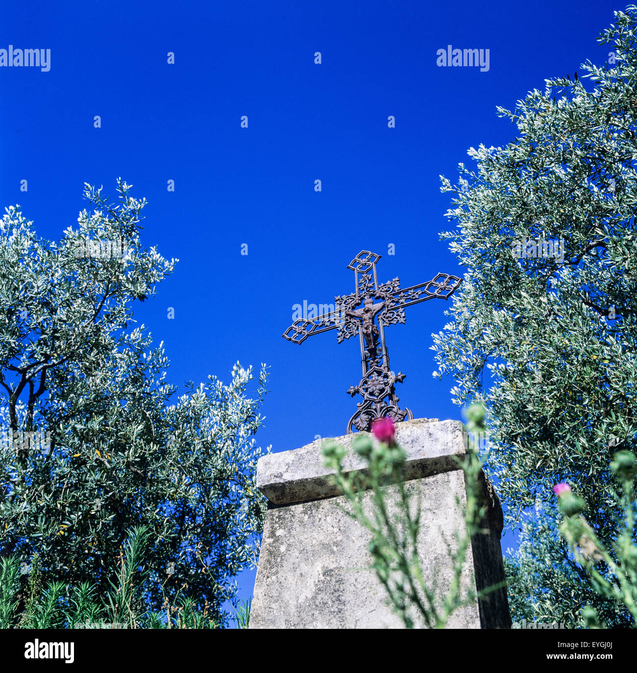 Wrought iron olive hi-res stock photography and images - Alamy