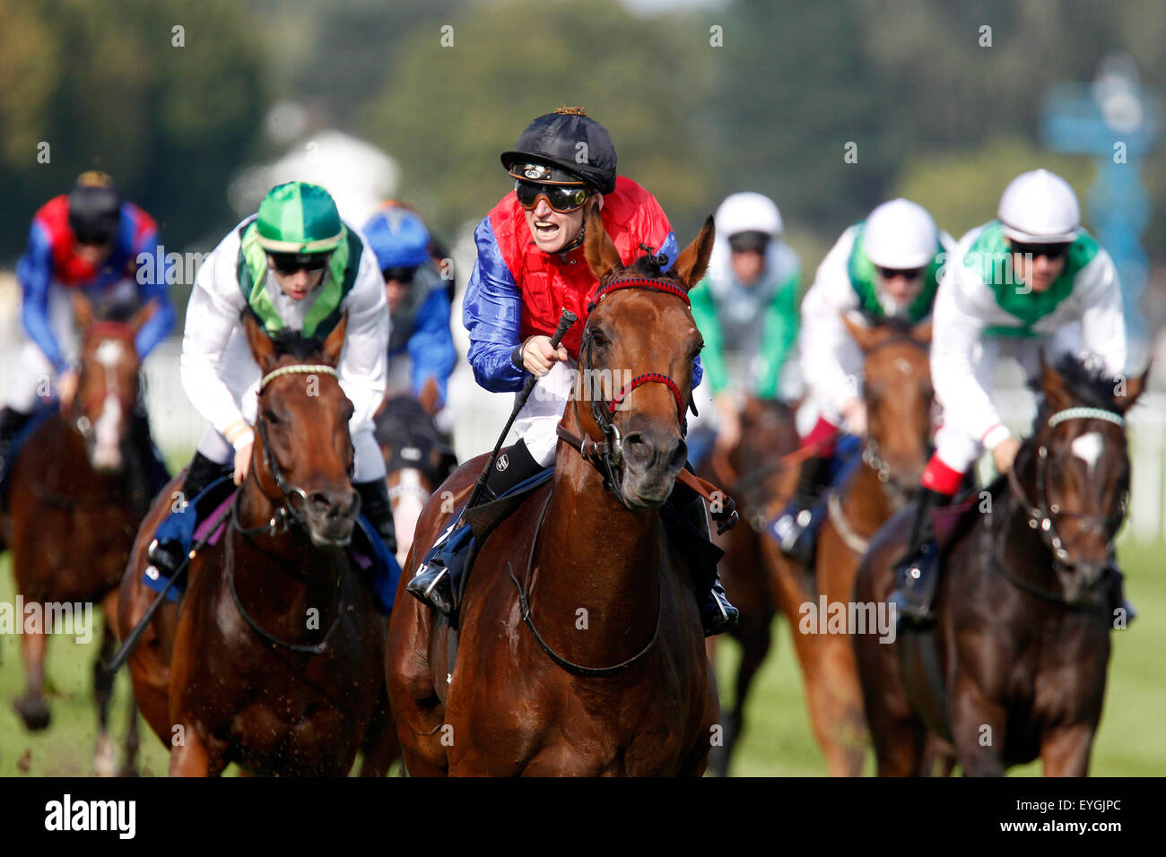 Gallop to win hi-res stock photography and images - Alamy