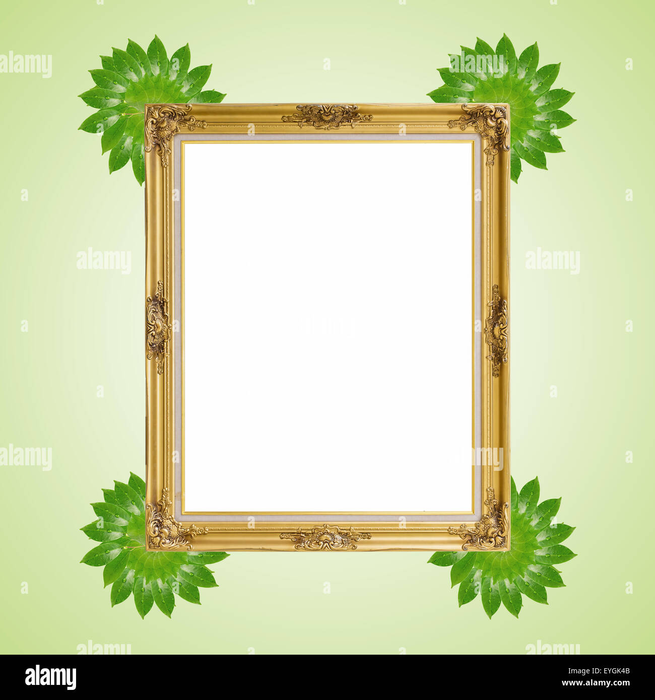 Gold luxury Louise and green leaves around photo frame isolated ...