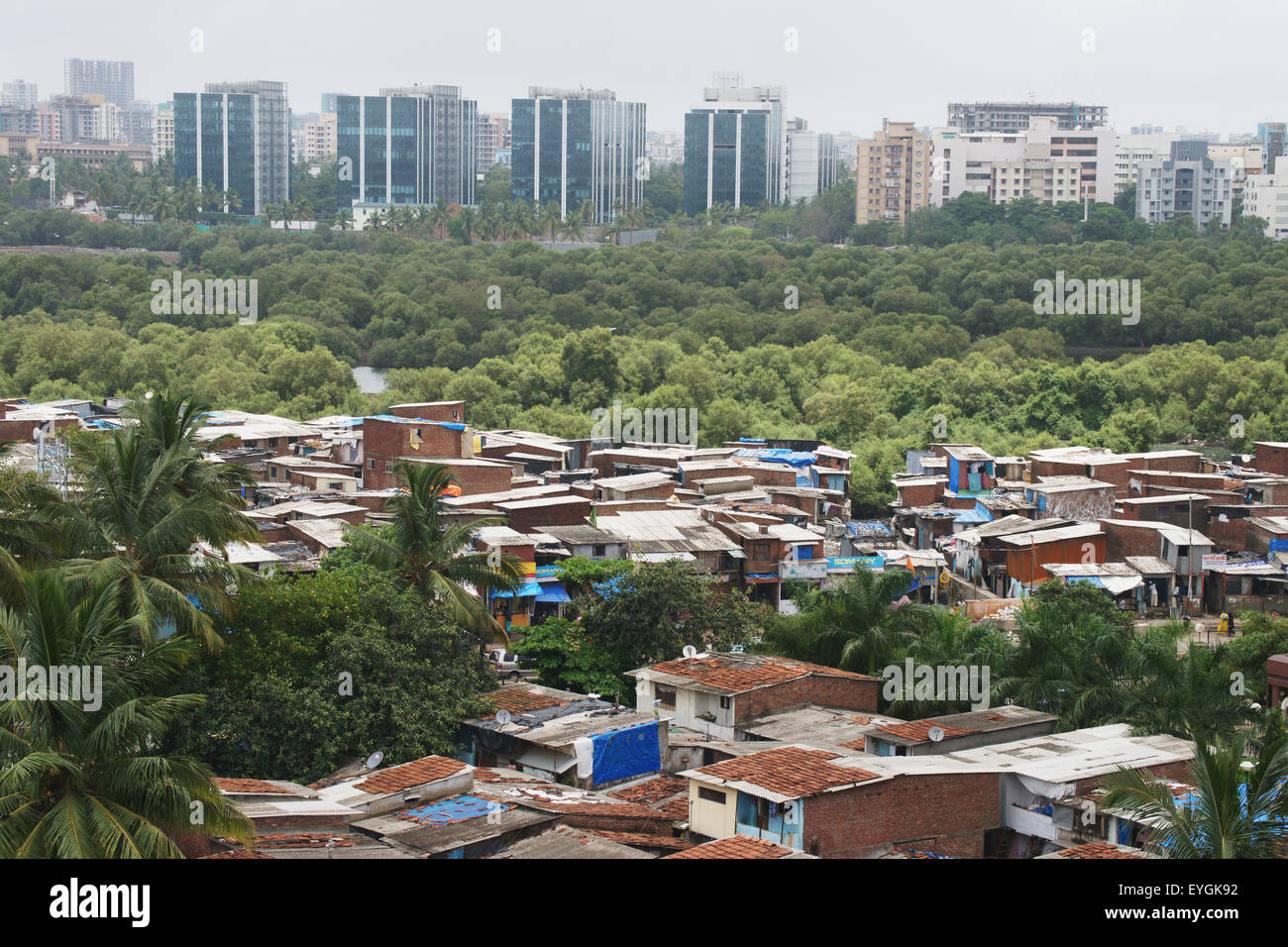 India, View of Dharavi shanty town; Mumbai Stock Photo - Alamy