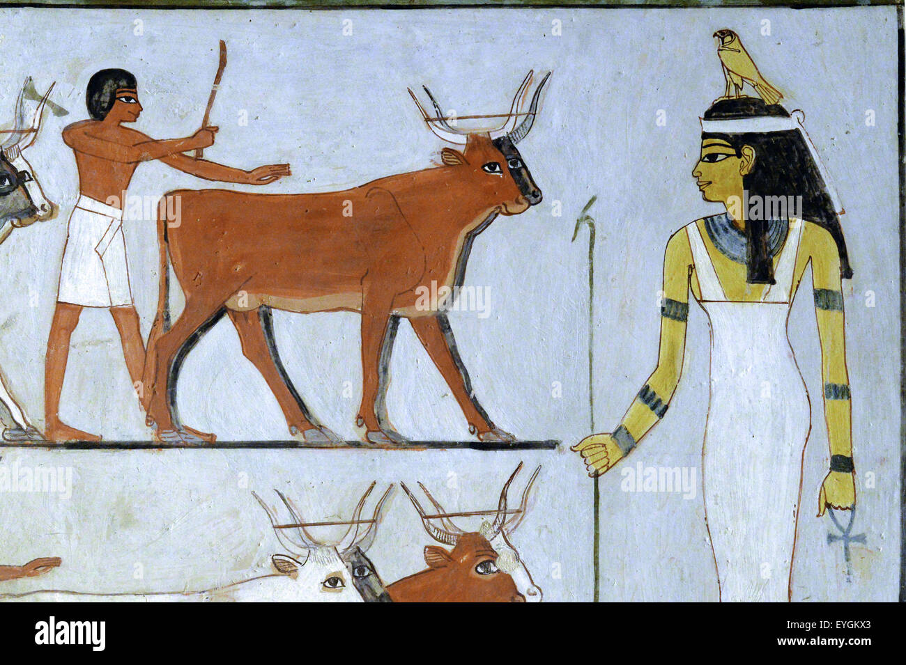 Tt69 hi-res stock photography and images - Alamy