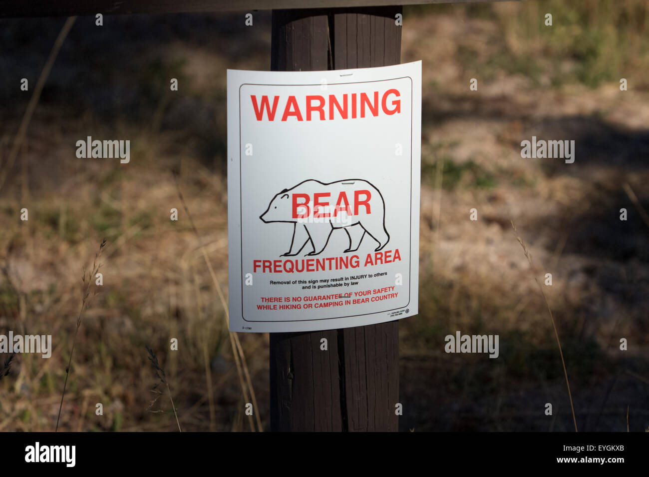 Grizzly bear warning sign hi-res stock photography and images - Alamy