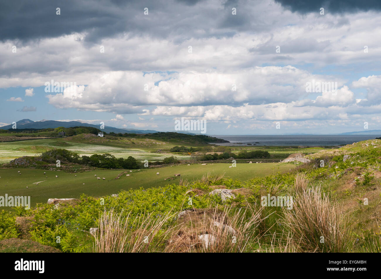 Looking across from Kildalton to Aros bay and Aros House on the Isle of ...
