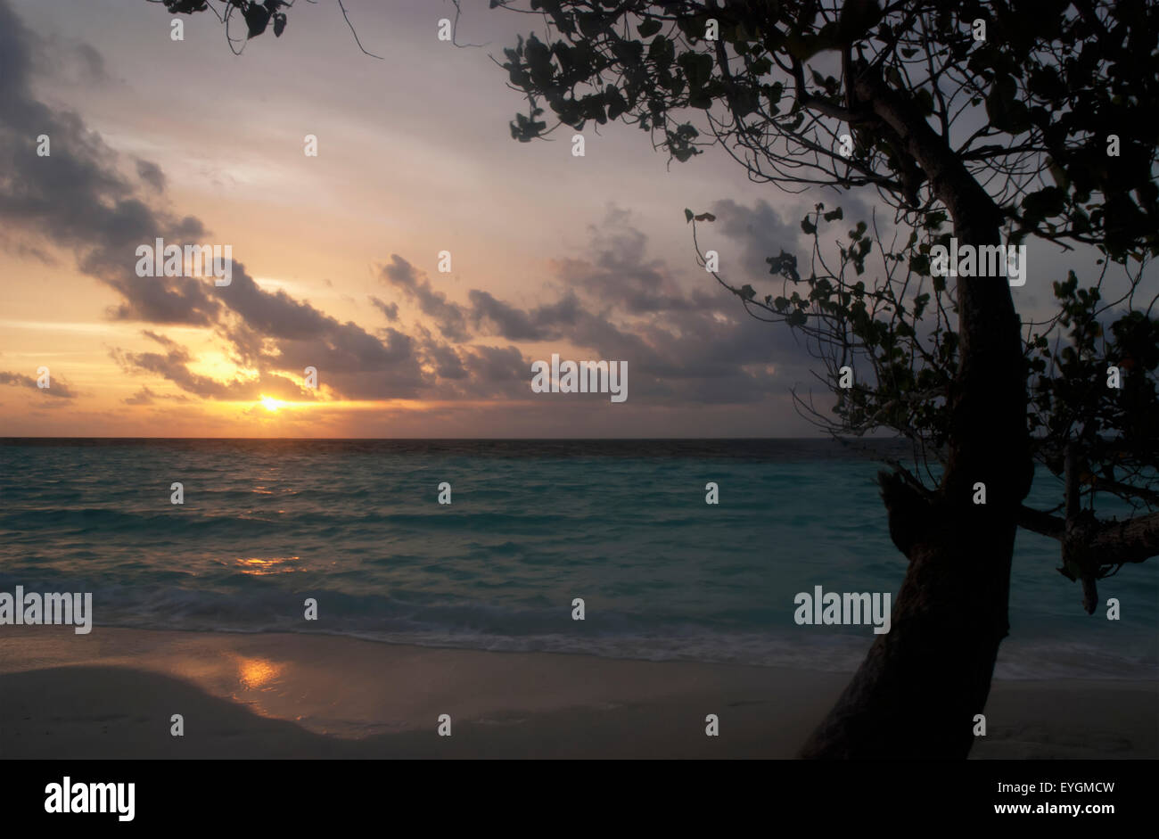 Zavala beach hi-res stock photography and images - Alamy