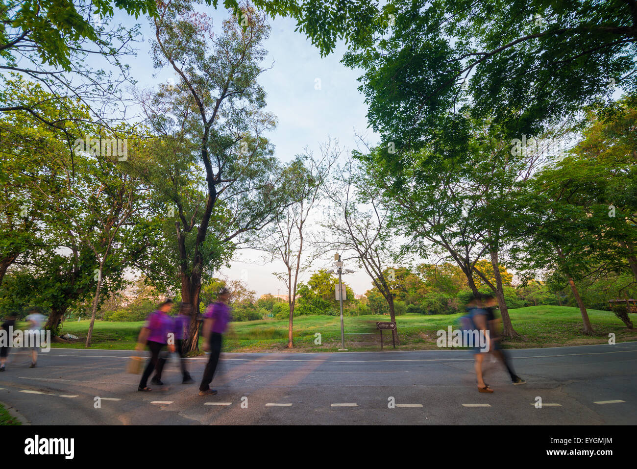 Beautiful avenue in to the park, path way Stock Photo - Alamy