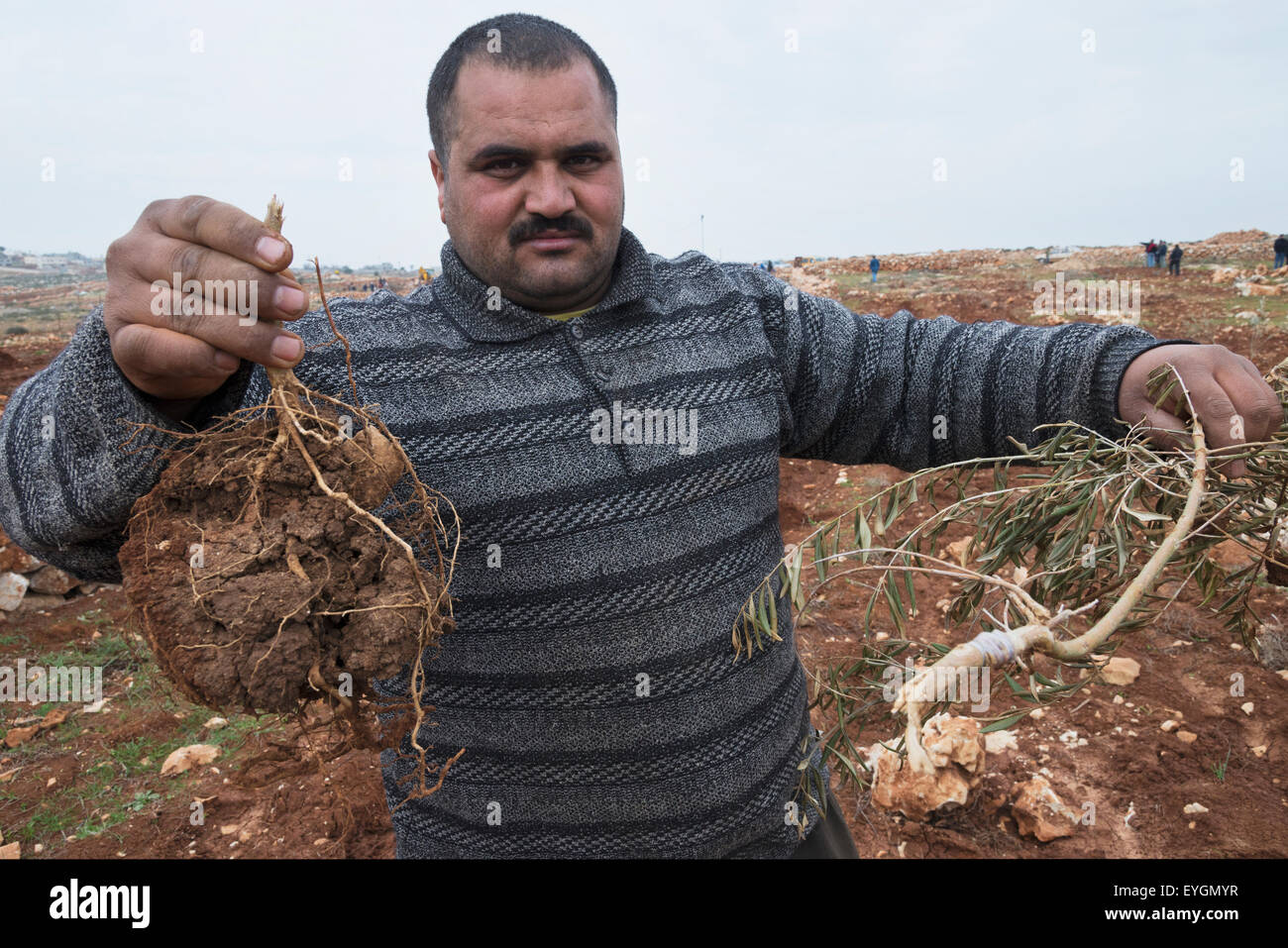 Kufrah High Resolution Stock Photography and Images - Alamy