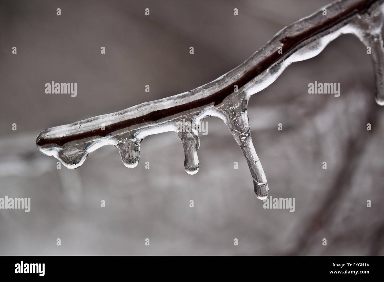 winter ice storm Stock Photo - Alamy