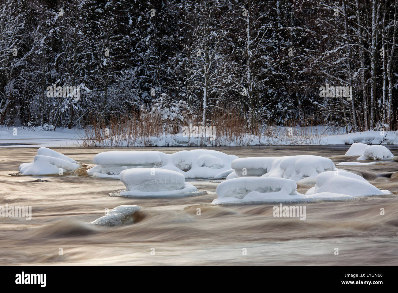 Dal River / Dalälven / Dalaelven in winter, Färnebofjärden National ...