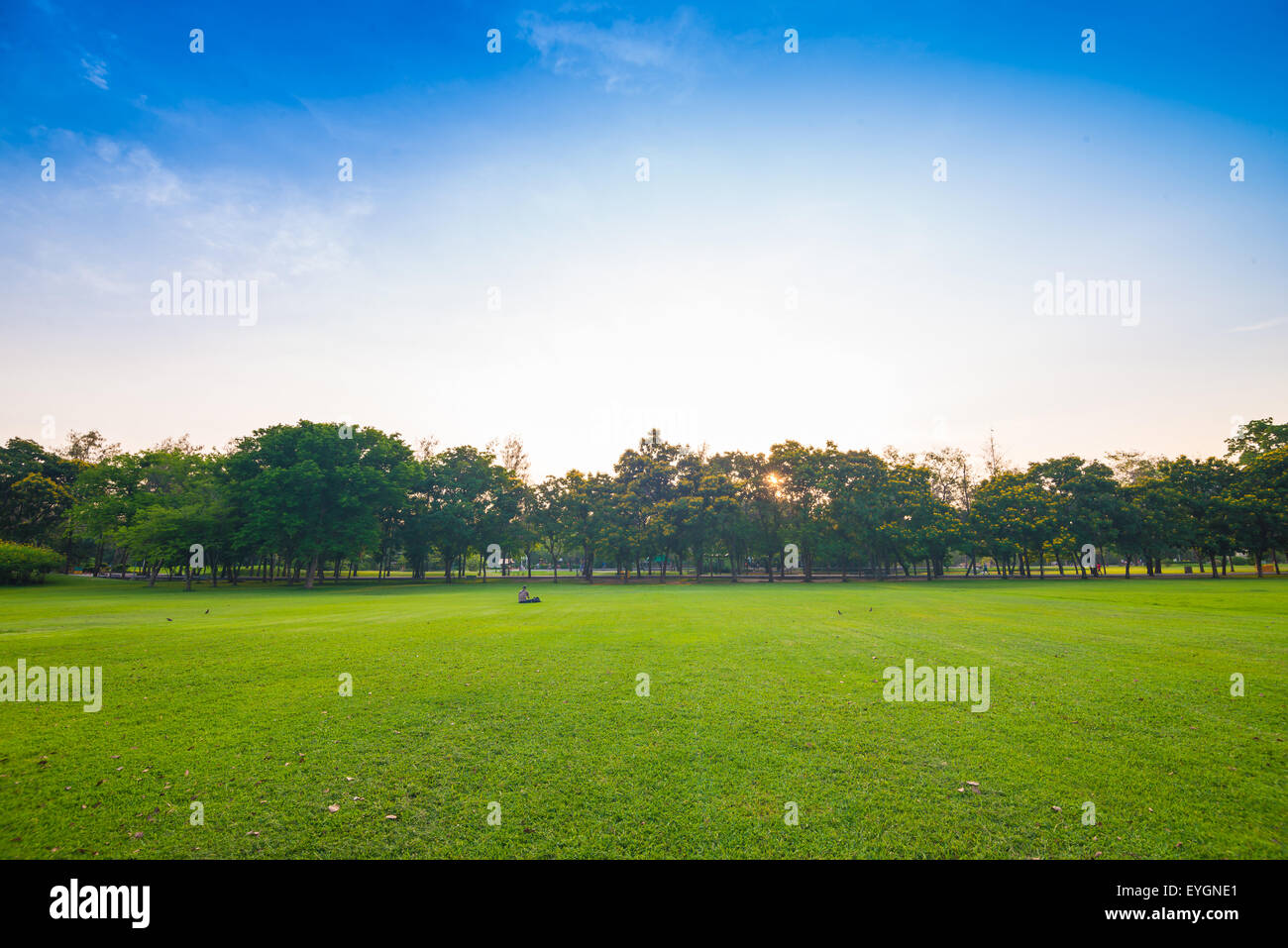 beautiful green park with sun light in evening, Sunset in park Stock ...