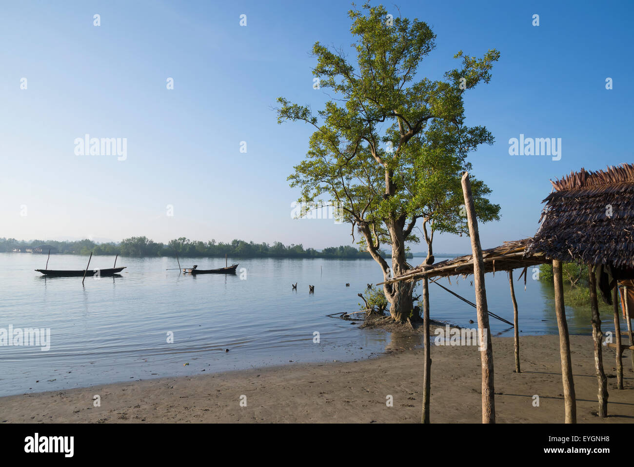 Myanmar (Burma), river and mangrove; Irrawaddyi division, Landscape ...