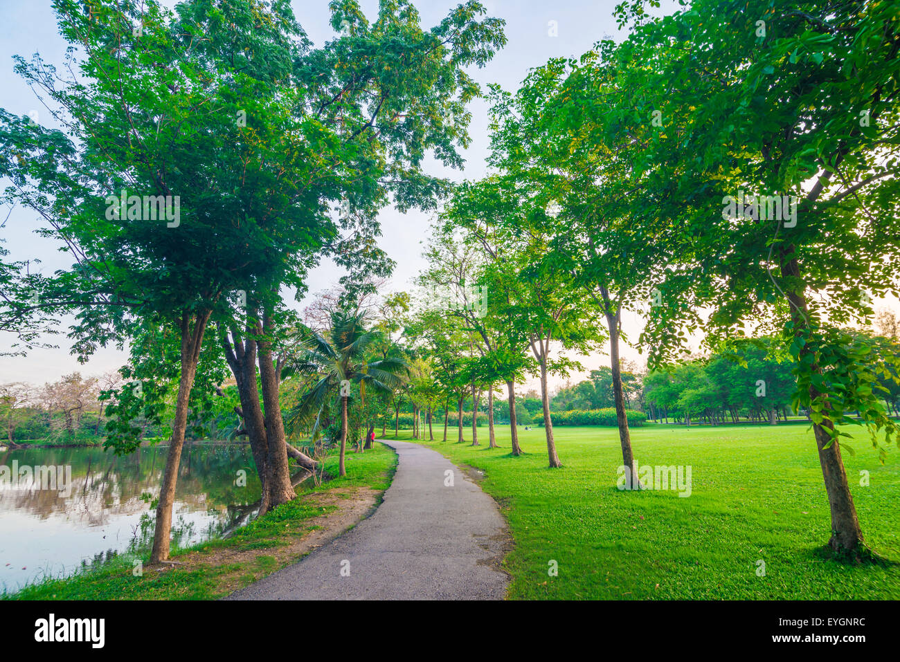 Paved path curving through the park. Peaceful pathway curves through a ...