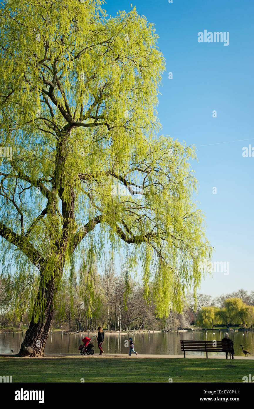 UK, England, Regents Park; London Stock Photo - Alamy