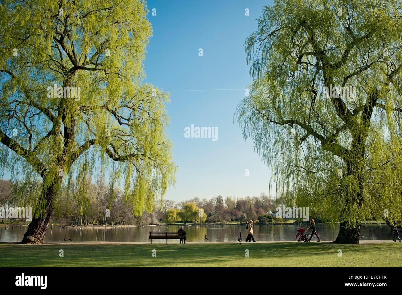 UK, England, Regents Park; London Stock Photo - Alamy