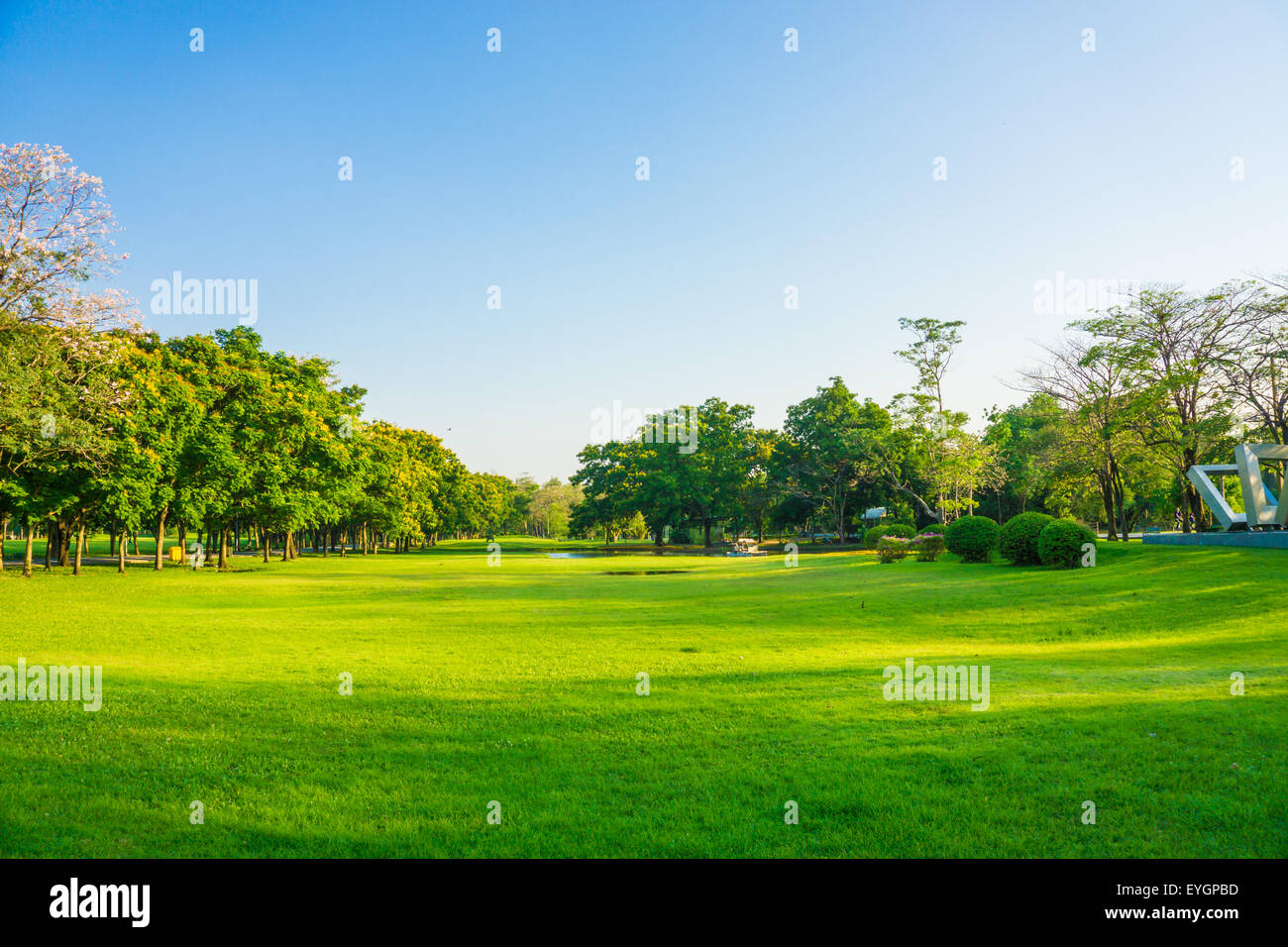 Green field park sunny day, beautiful green park Stock Photo - Alamy