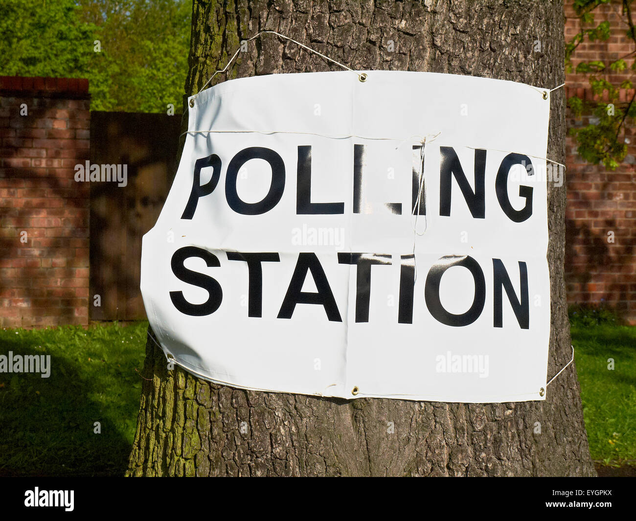 Polling station sign on tree UK Stock Photo - Alamy