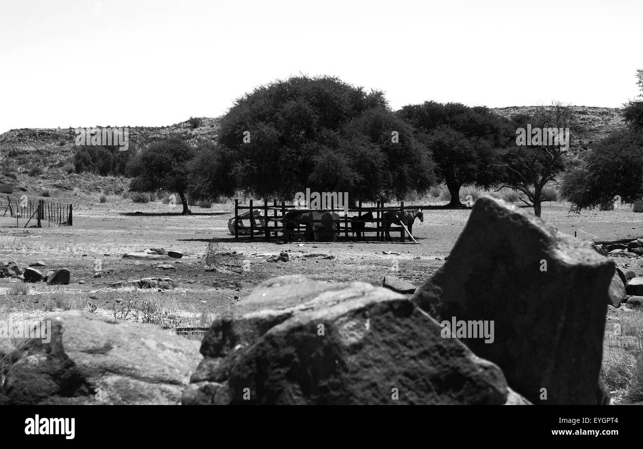 Poverty africa desert hi-res stock photography and images - Alamy