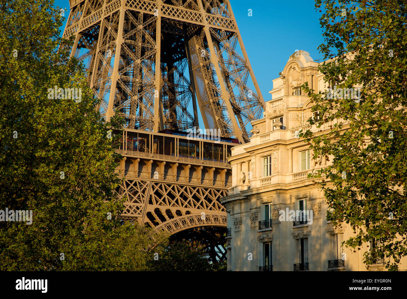 Evening sunlight on Eiffel Tower, Paris, France Stock Photo - Alamy