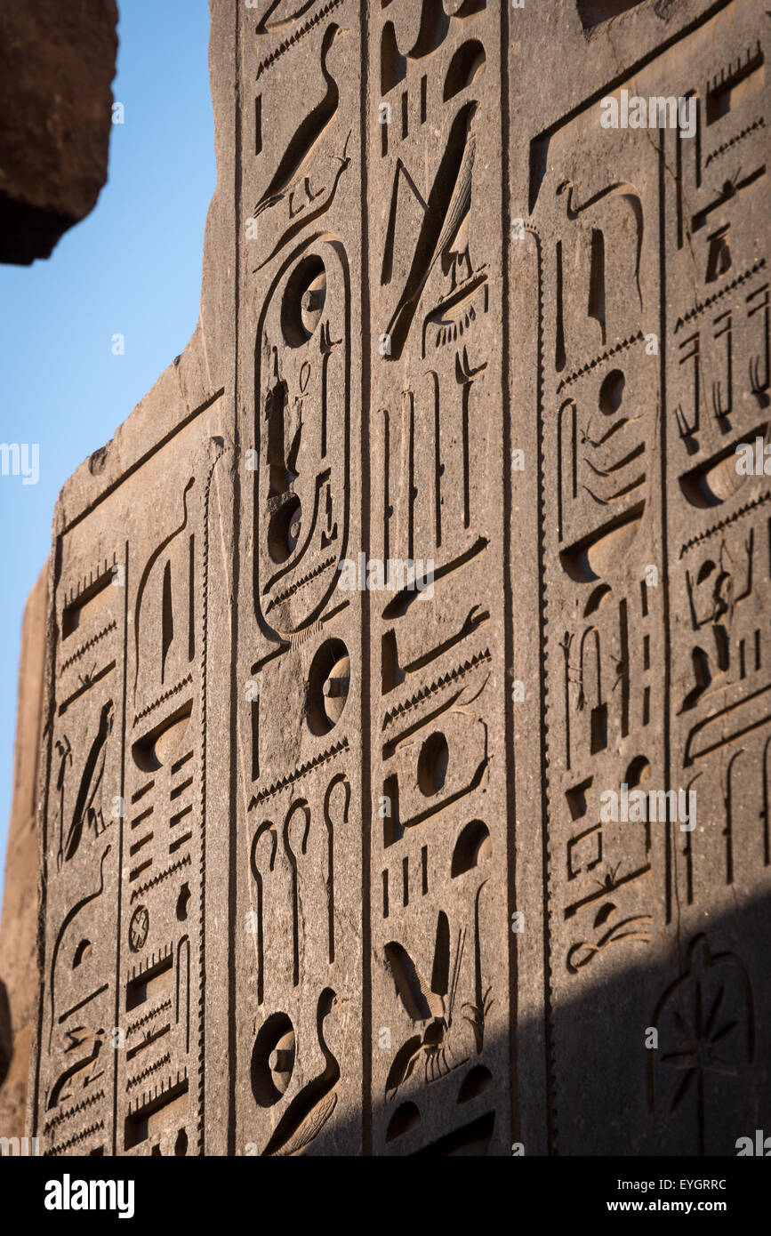 Hieroglyphics in the setting sun at Luxor temple, Egypt Stock Photo - Alamy