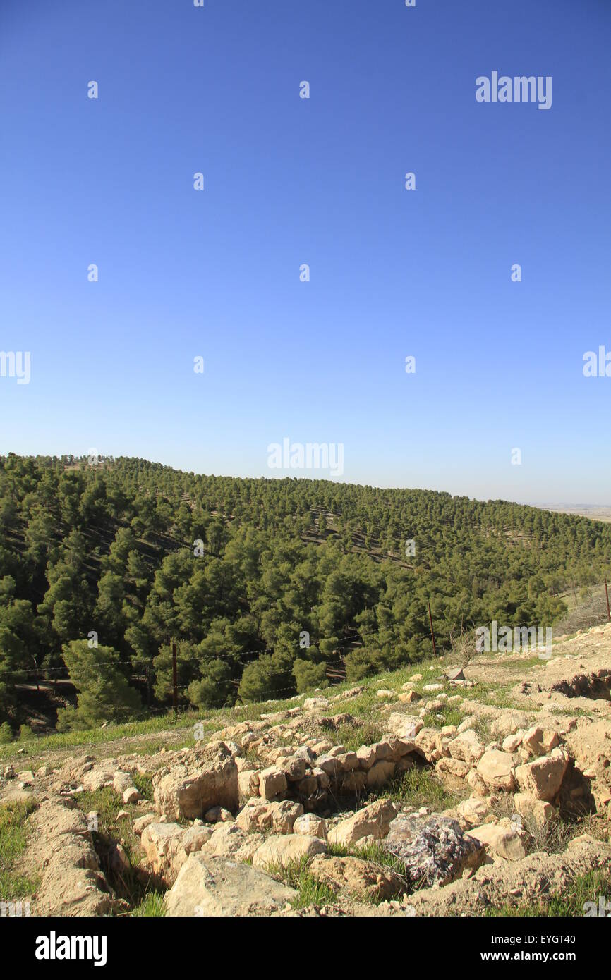 Rimmon hi-res stock photography and images - Alamy