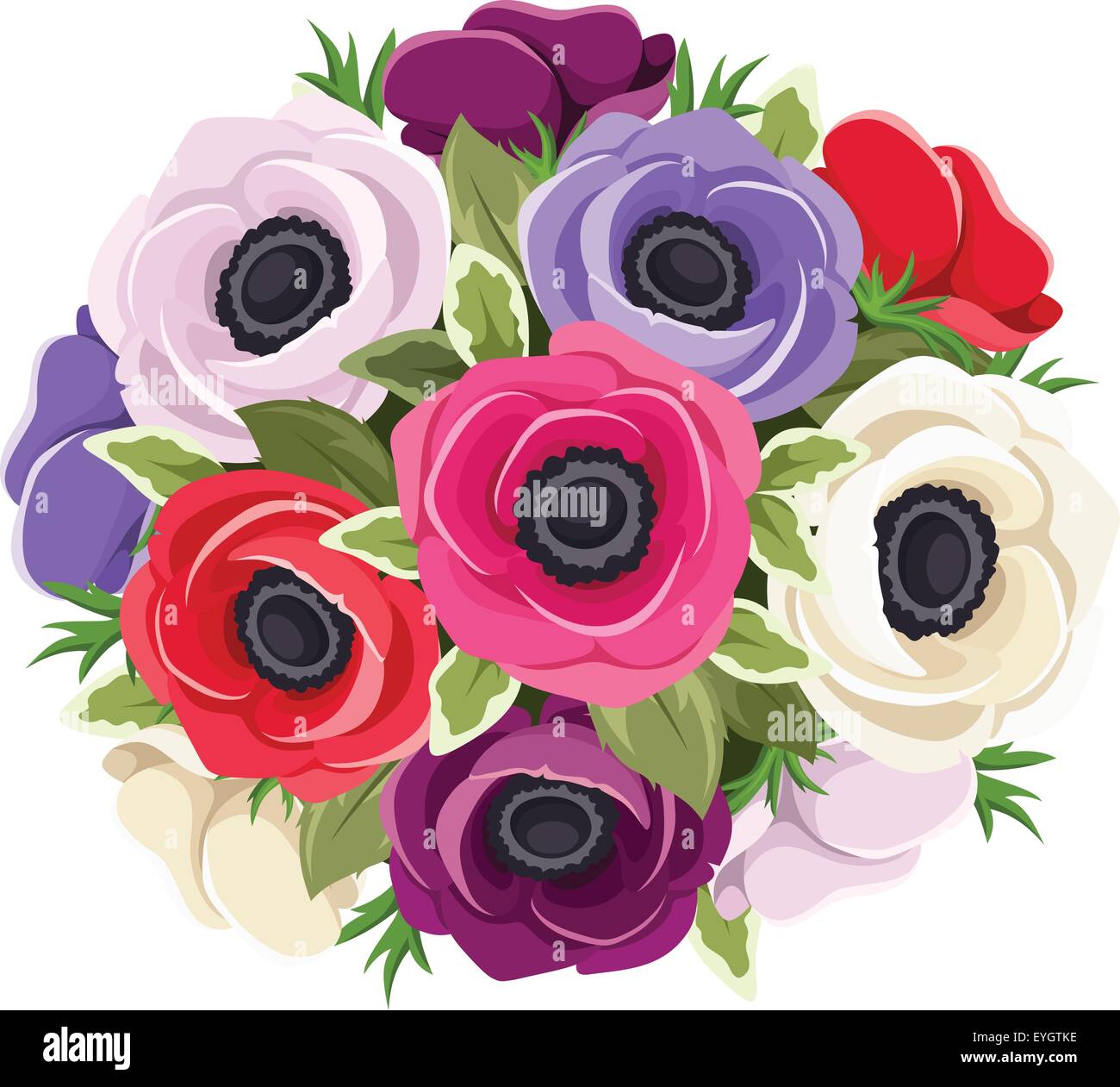 Bouquet of colorful anemone flowers. Vector illustration Stock Vector ...