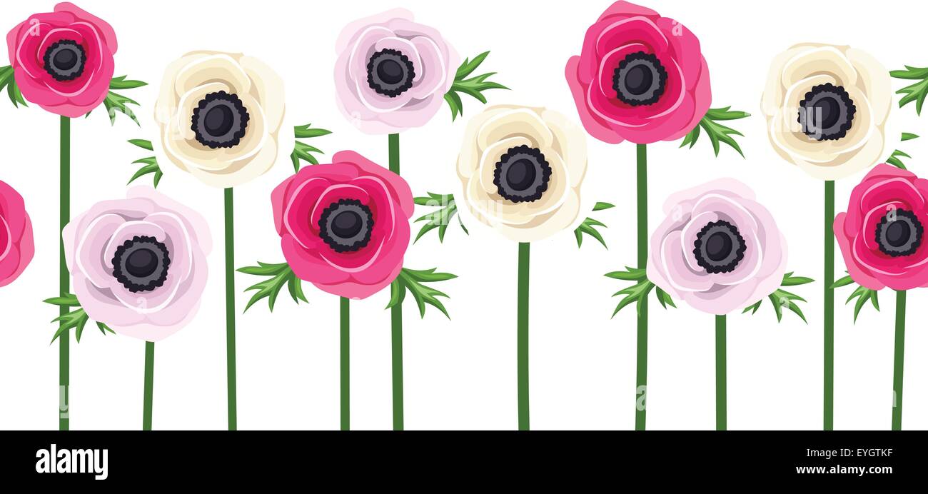 Horizontal seamless background with anemone flowers Stock Vector Image ...