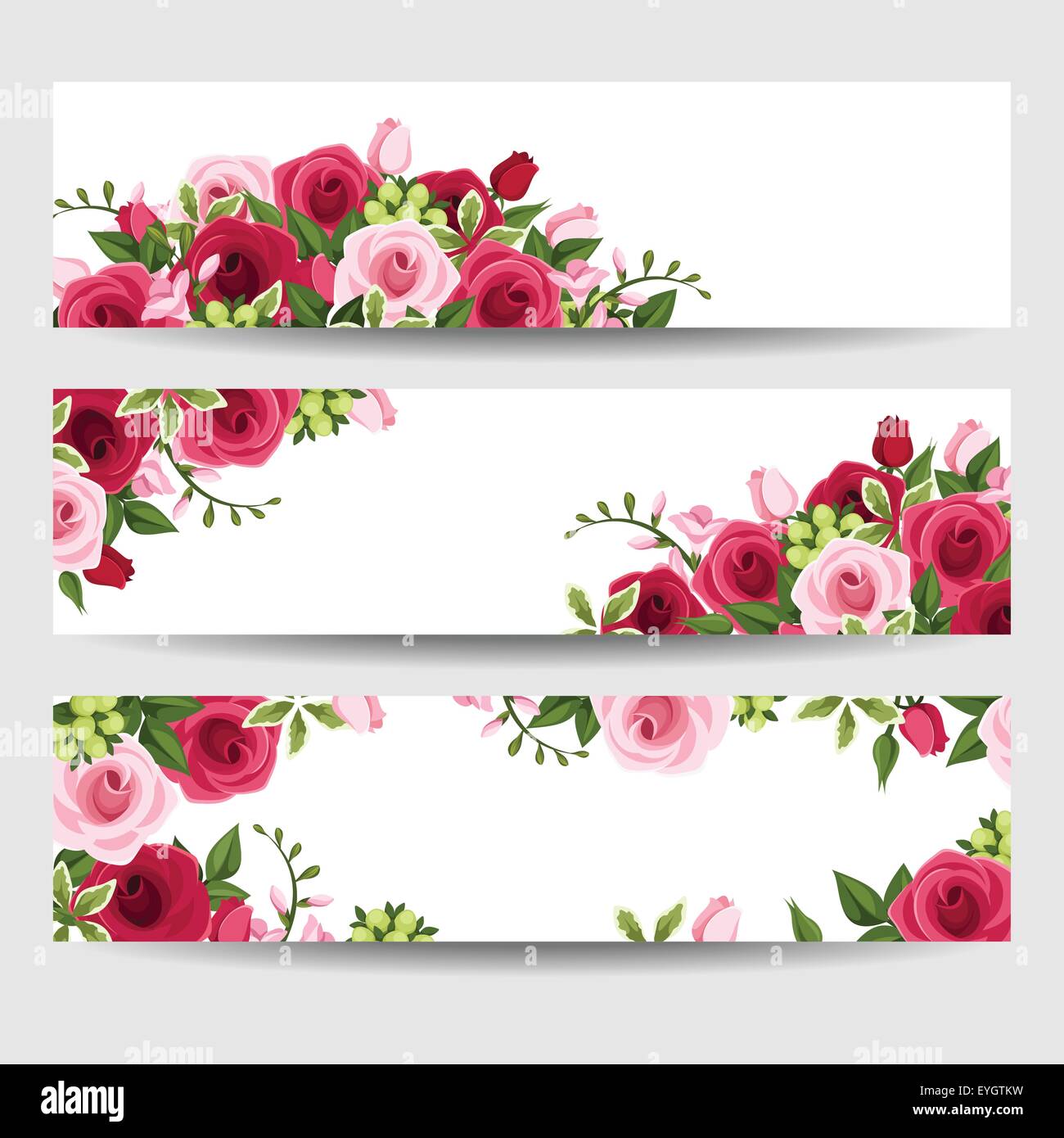 Banners with red and pink roses and freesia flowers. Vector ...