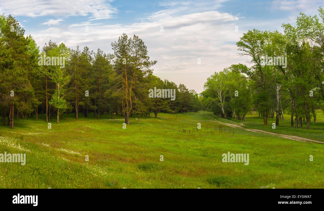 Beautiful evening landscape in central Ukraine Stock Photo - Alamy