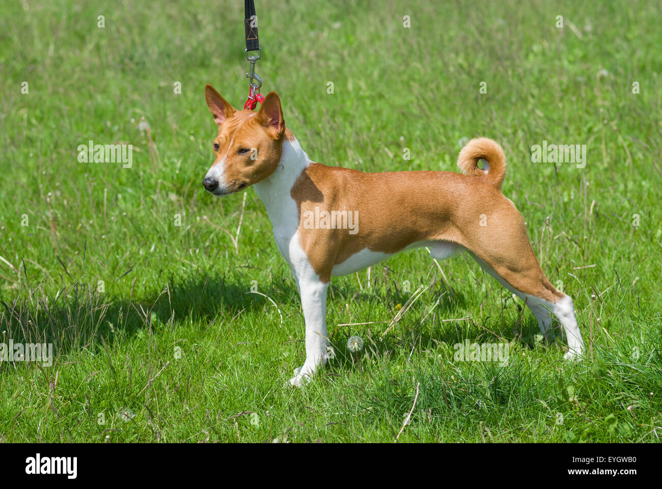 Cute exterior hi-res stock photography and images - Alamy