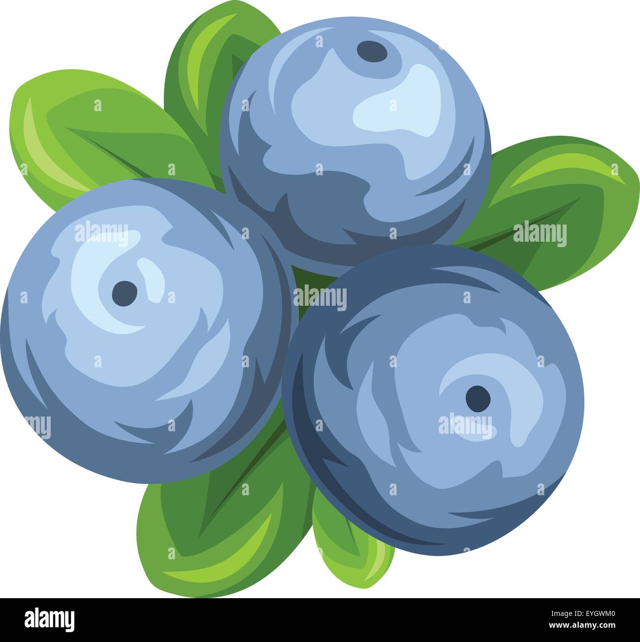 Blueberries isolated on white. Vector illustration Stock Vector Image ...